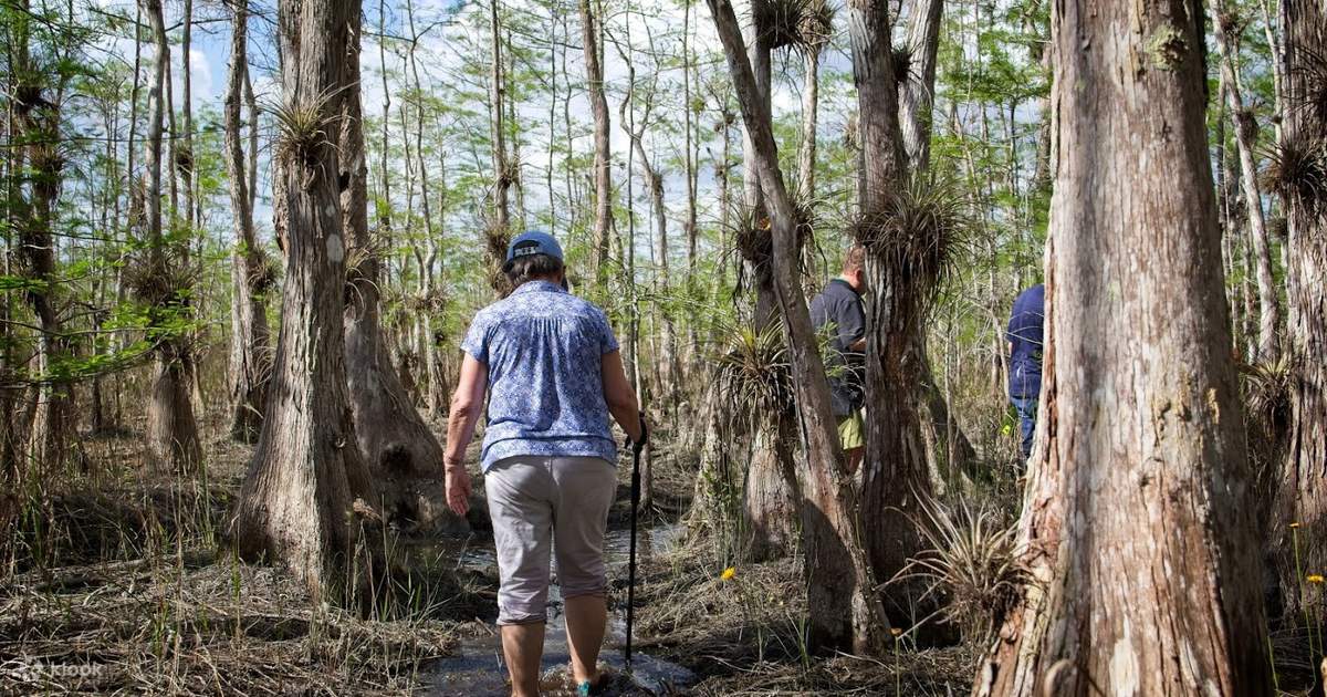Full Day: Everglades Adventure with a Wet Walk - Klook